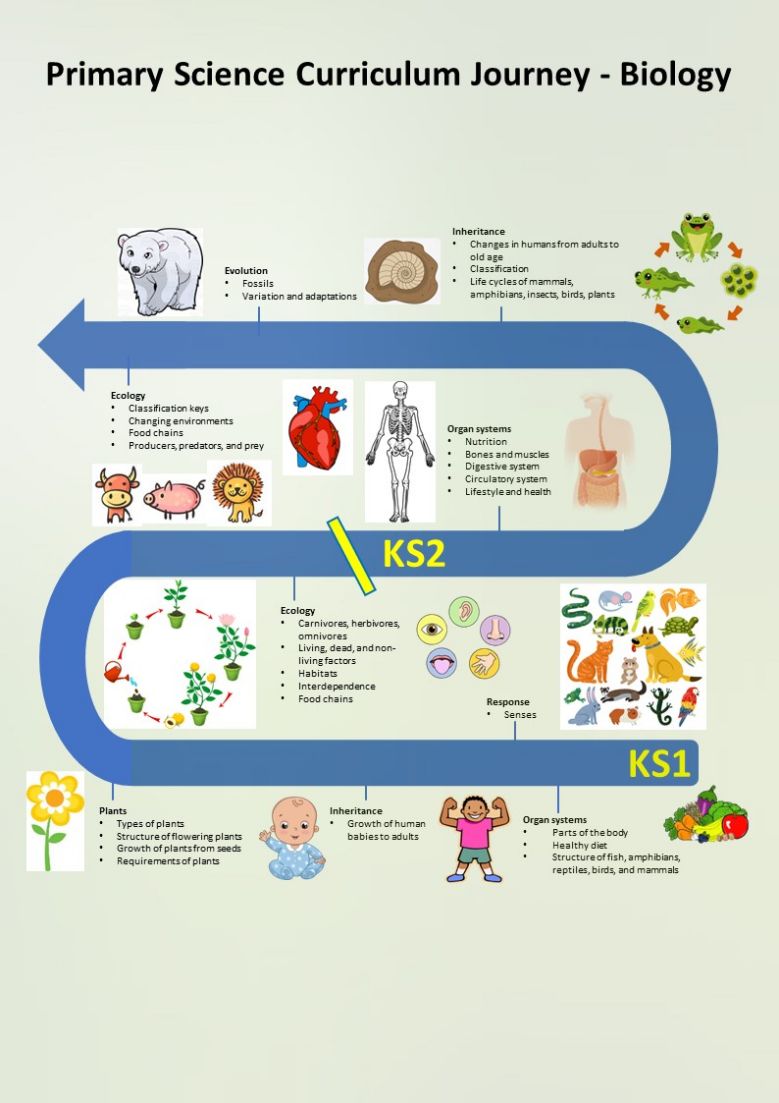 The Piggott School - Science